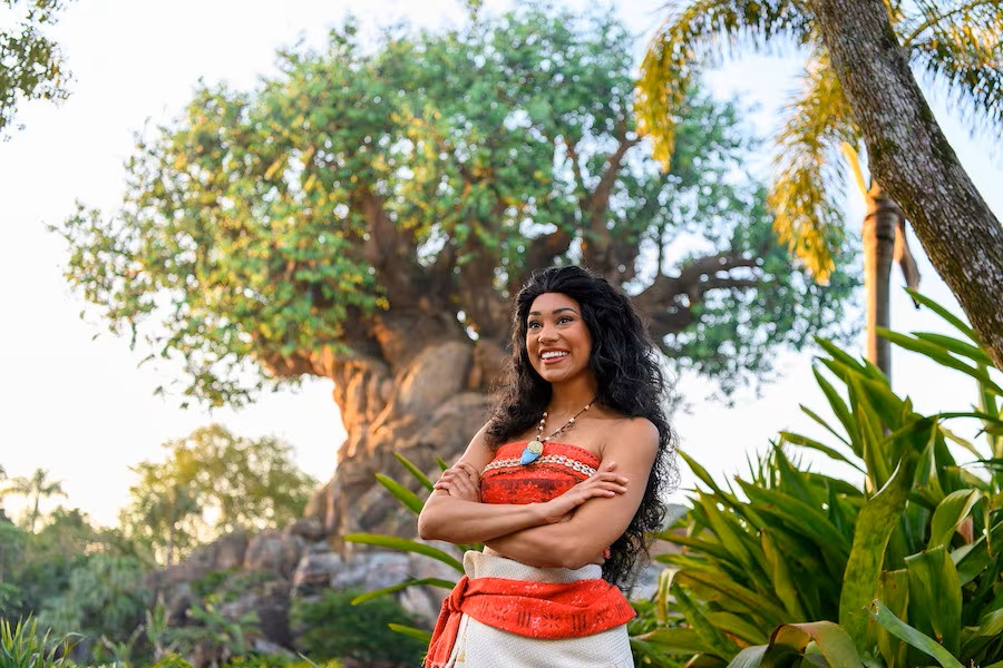 See What’s New – Disney World Resort – Page 2 – Just Orlando Youth Tours